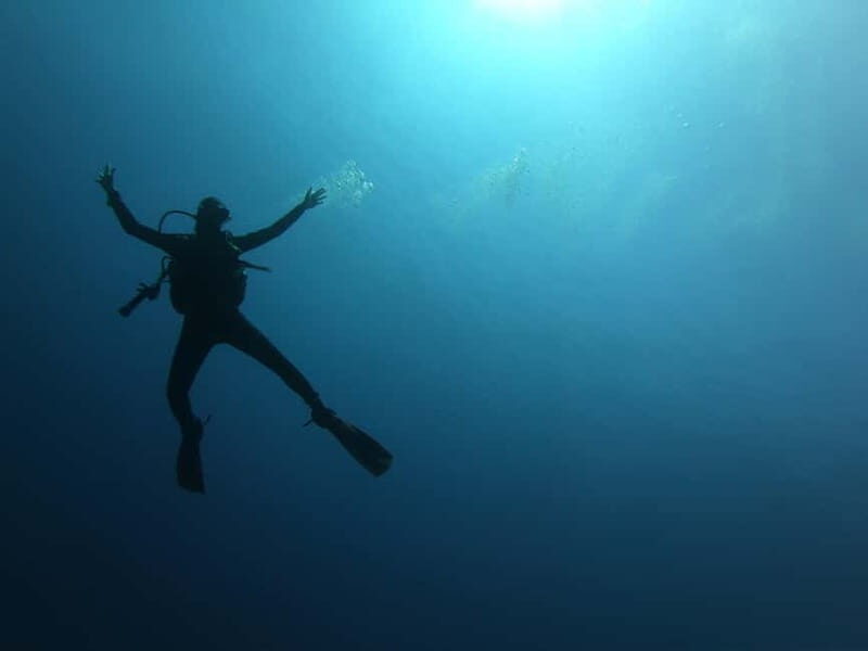 Alghero: Diving - What Reviewers Love Most