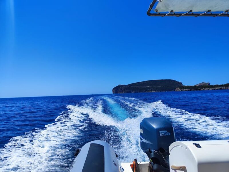 Alghero: Diving - Practical Tips for Future Participants