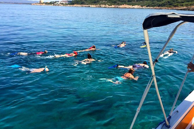 Alghero - Dolphin Watching and Guided Snorkeling (summer tour) - FAQ