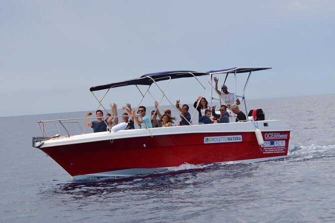 Alghero - Dolphin Watching (Spring & Autumn Tour) - What Makes This Dolphin Watching Tour Special?