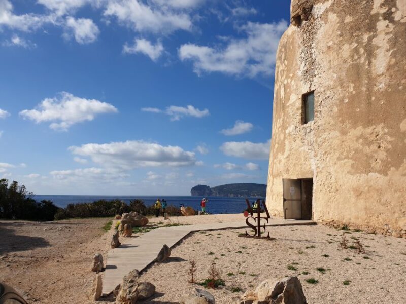 Alghero: E-bike tour inside the Natural Park of Porto Conte - Final Thoughts: Who Should Consider This Tour?