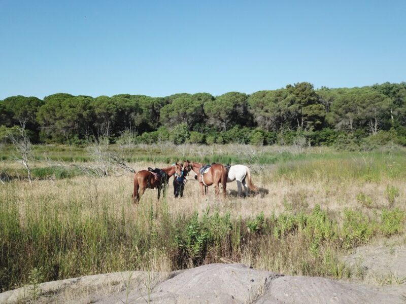 Alghero: Guided Horseback Ride at Lake Baratz & Porto Ferro - An In-Depth Look at the Horseback Ride Experience