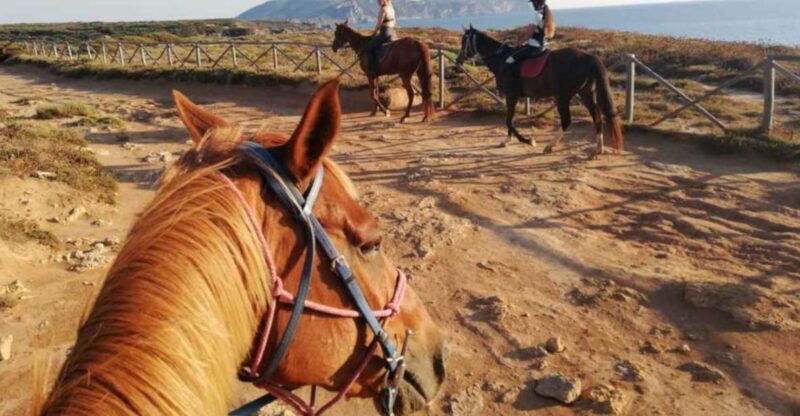 Alghero: Guided Horseback Ride at Lake Baratz & Porto Ferro - Final Thoughts: Is It Worth It?