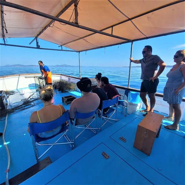 Alghero: Gulf of Alghero Fishing Boat Trip with Fresh Lunch - Who is This Tour Best For?
