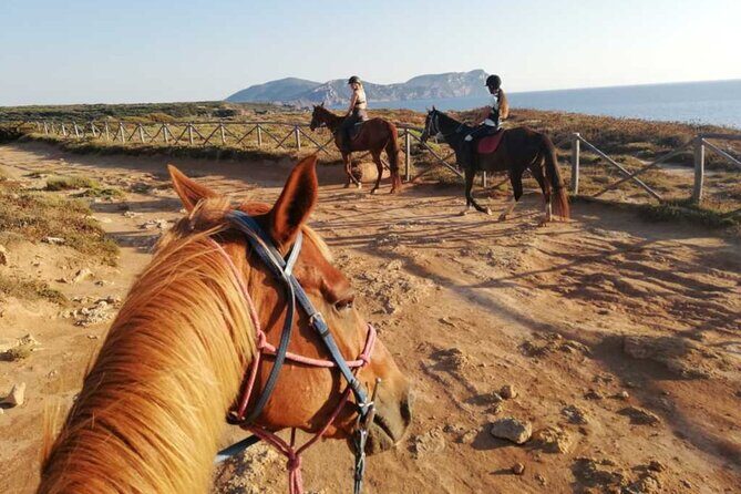 Alghero: horseback ride in Porto Ferro and Lake Baratz - Practical Details and Considerations