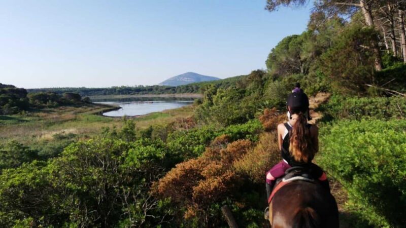 Alghero: horseback riding for experts in Lake Baratz - Key Points