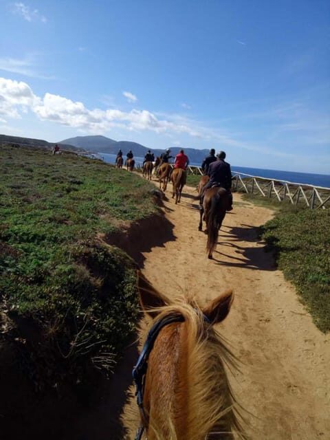 Alghero: horseback riding for experts in Lake Baratz - Setting the Scene: An Authentic Sardinian Ride