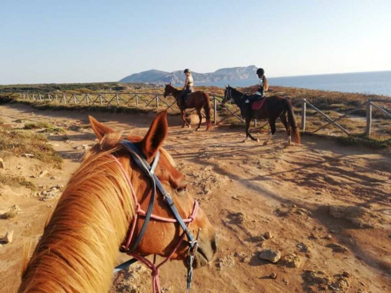 Alghero: horseback riding for experts in Lake Baratz - Authentic Sardinian Scenery and Activities