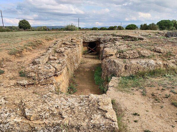 Alghero: private archaeological tour (TRANSFER INCLUDED) with local guide - Deep Dive Into the Itinerary