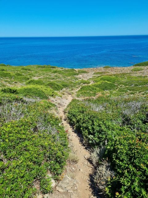 Alghero: Secret Beaches & Coastal tour by Land - An Alluring Taste of Sardinia’s Coastline