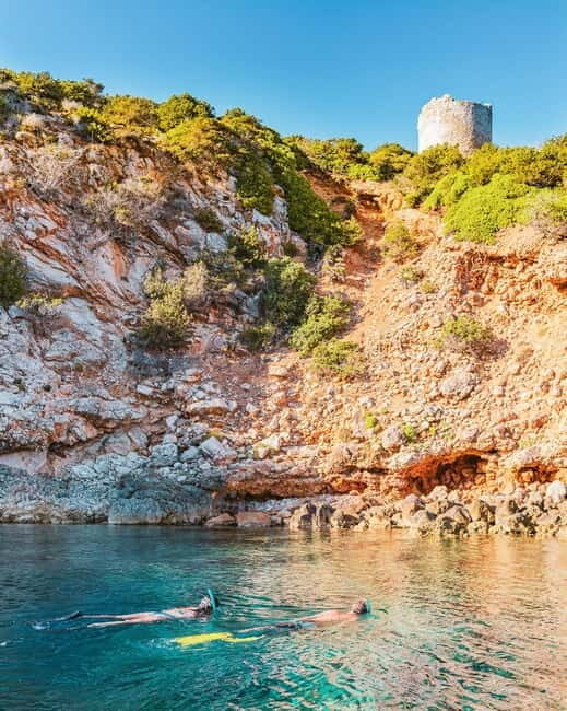 Alghero: Snorkeling tour for small groups with local guide - Key Points