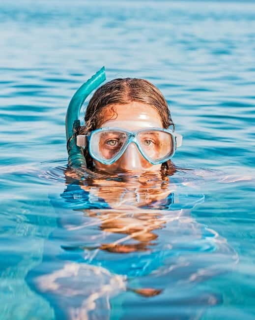 Alghero: Snorkeling tour for small groups with local guide - What’s Included and What to Consider