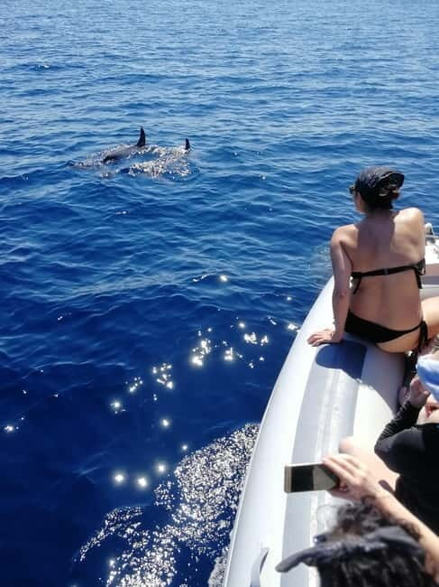 Alghero: Snorkeling tour for small groups with local guide - Who Might Not Find It Perfect?