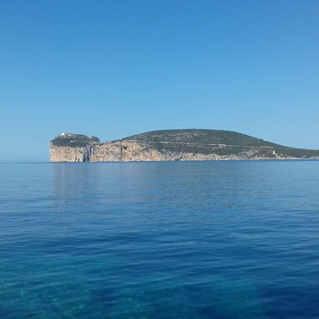 Alghero: snorkelling and tour of Capo Caccia cliffs - FAQ