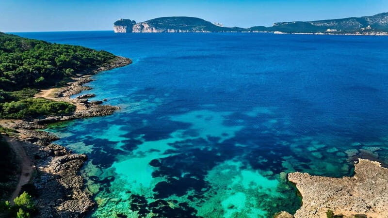 Alghero: Trekking and Snorkelling Tour in Porto Conte Park - What Do the Reviews Say?