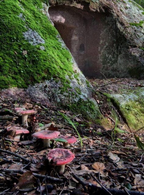 Alghero: trekking in the Porto Conte park - Frequently Asked Questions