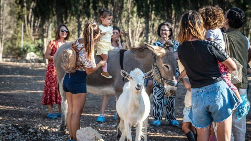 Alghero: visit an animal shelter in Olmedo - An In-Depth Look at the Olmedo Animal Shelter Tour