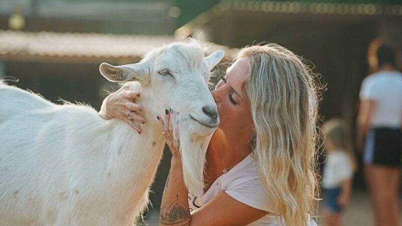 Alghero: visit an animal shelter with lunch or dinner - An In-Depth Look at the Experience