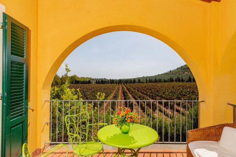 Alghero: Wine and Olive Oil Tasting at a Local Farm - Final Thoughts