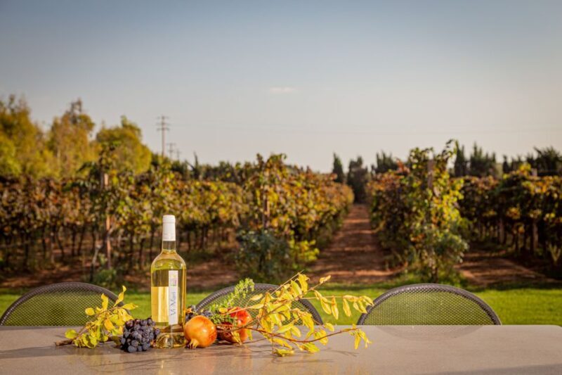 Alghero: Wine and Olive Oil Tasting at a Local Farm - FAQs