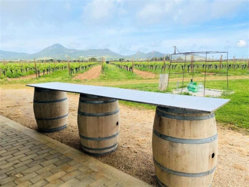 Alghero: wine tasting w/ local aperitif in the vineyard - Exploring the Sardinian Vineyards: A Genuine Taste of Alghero