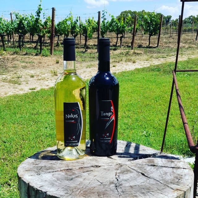 Alghero: wine tasting w/ local aperitif in the vineyard - Why This Tour Offers Great Value