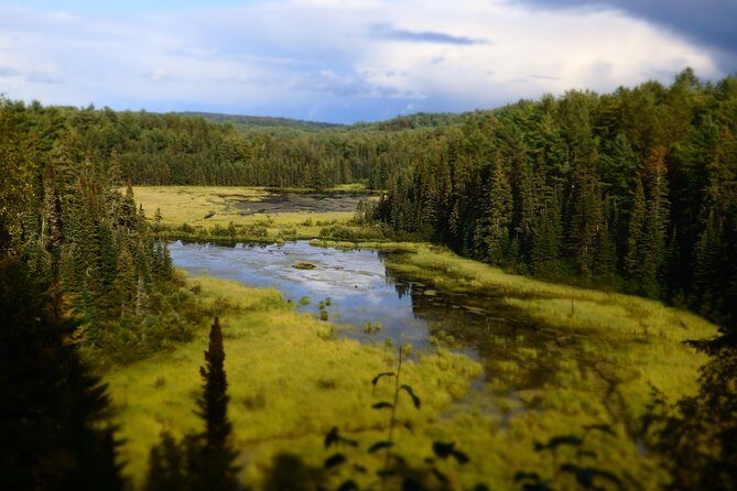 Algonquin Group Camping Adventure (3 Day) - Key Points