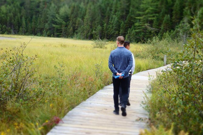 Algonquin Group Camping Adventure (3 Day) - Analyzing the Value