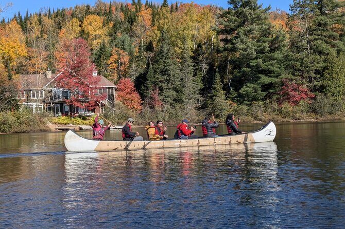 Algonquin Park and Ragged Falls Hike and Canoe Adventure - The Scenic Lookout: Lions Lookout