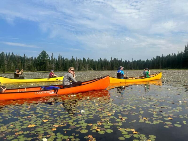 Algonquin Park Day Tour: Canoeing Adventure - Who Will Enjoy This Tour?