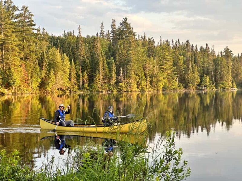 Algonquin Park Day Tour: Canoeing Adventure - Final Thoughts