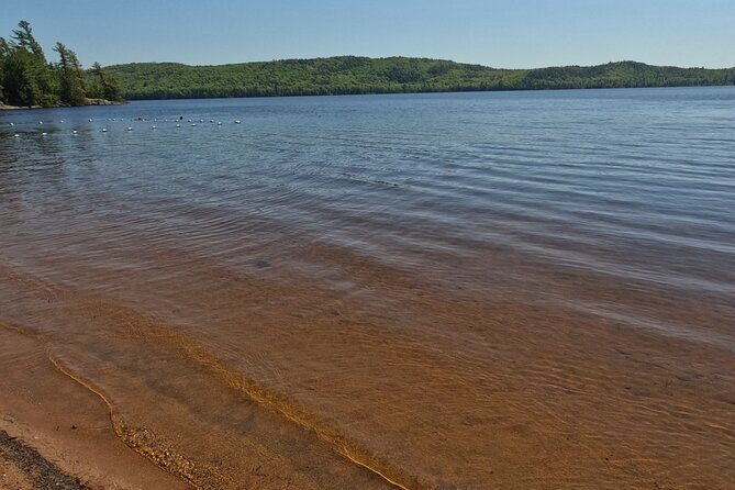 Algonquin Provincial Park Full Day Trip - What’s Included and What You Need to Consider