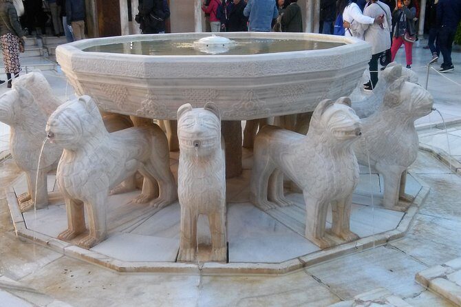 Alhambra and Granada City Center sightseeing tour! - Why the Private Tour Model Works Well