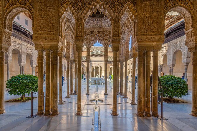 Alhambra and Granada Private Tour from Marbella, Malaga and port - What the Reviews Say