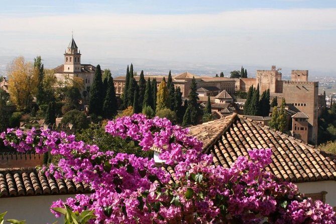 Alhambra &Charles Palace Guided Tour with Optional Nasrid Palaces - Final Thoughts