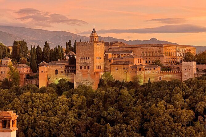 Alhambra Private Tour with tickets - A Closer Look at the Alhambra Private Tour with Tickets