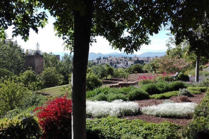 Alhambra private tour (without tickets) total/group Max 15 people - The Experience in Detail