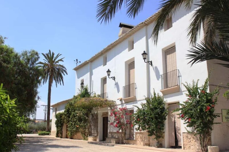 Alicante and Elche: Guided tour of winery + wine tasting / private transportation - Transportation & Practicalities