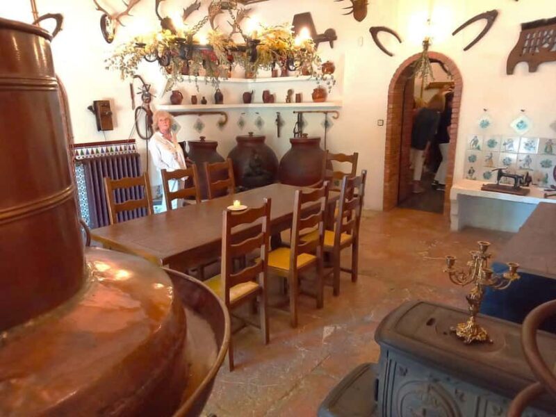 Alicante and Elche: Guided tour of winery + wine tasting / private transportation - The Optional Lunch