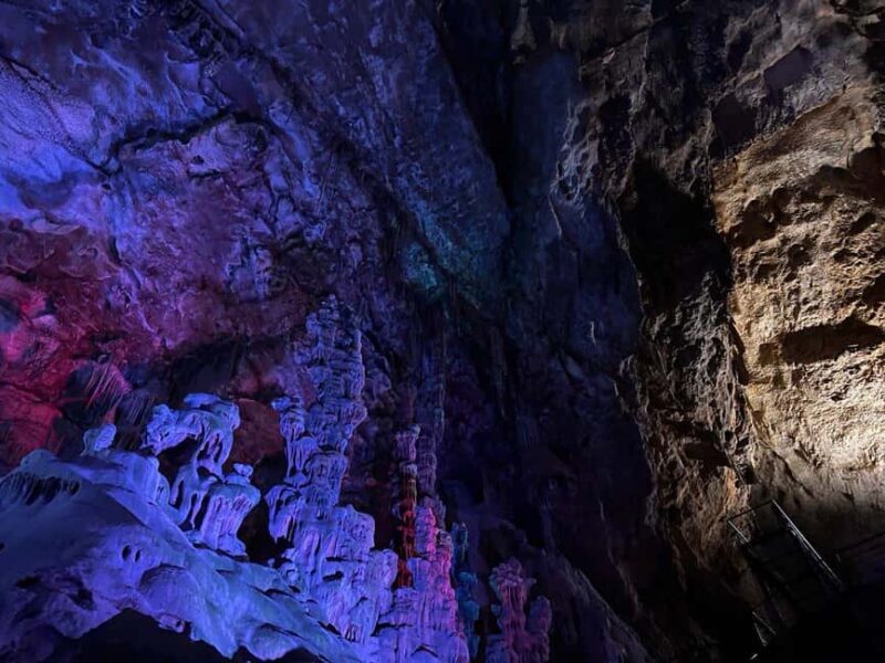Alicante: Canelobre Caves and Busot Tour - Analyzing the Experience: Who Is This For?