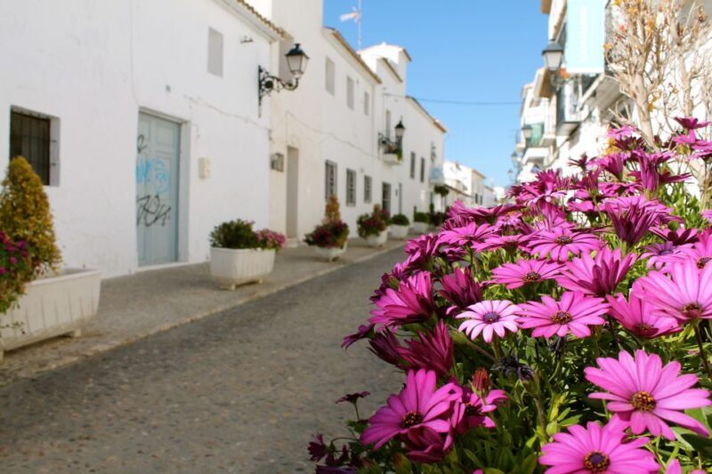 Alicante Charming Villages Tour: Villajoyosa and Altea - Exploring Villajoyosa