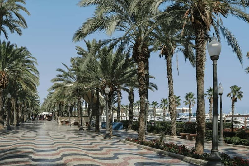 Alicante: City Bike Tour and SUP Board Rental - Who Is This Tour Best Suited For?