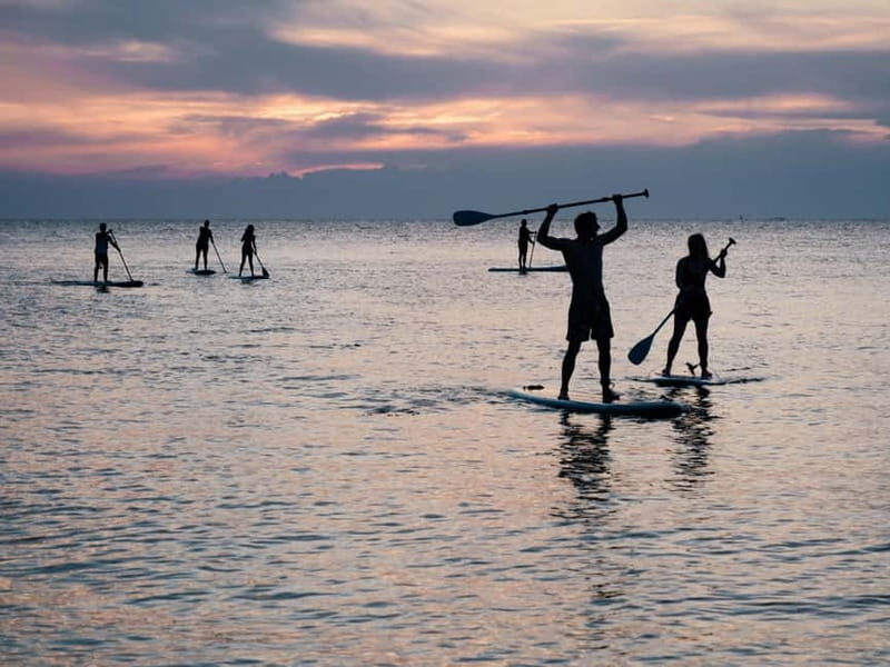 Alicante: City Bike Tour and SUP Board Rental - The Sum Up