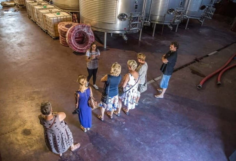 Alicante: Countryside Wine Tour with 4 Tastings - An Authentic Spanish Wine Experience