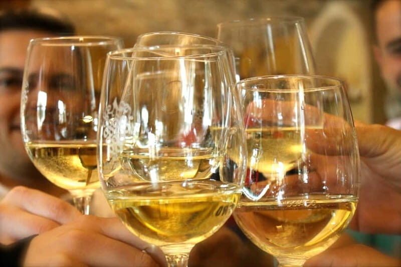 Alicante: Countryside Wine Tour with 4 Tastings - The Experience in Perspective