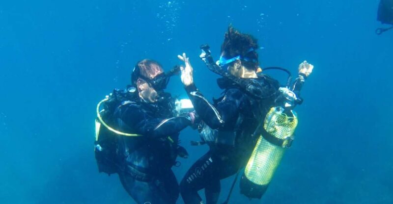 Alicante: Denia Beginners Scuba Diving Experience - Why Choose the Denia Beginners Scuba Experience?