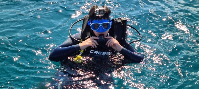 Alicante: Denia Beginners Scuba Diving Experience - What Makes This Experience Stand Out?