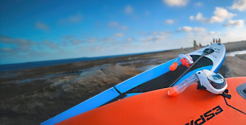 Alicante: E-Bike, Snorkeling and Paddle Surf Tour - Exploring Ancient Roman Fish Farm Ruins at La Albufereta