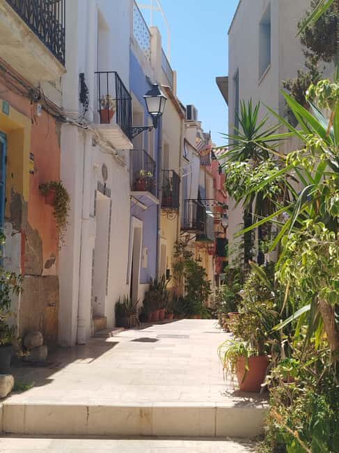 Alicante Essentials: 2-Hour Walking Tour with a Local Guide - Key Points