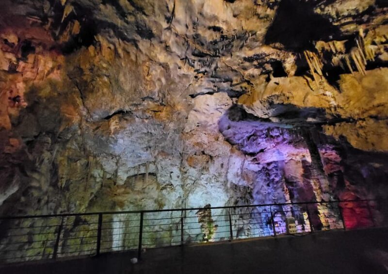 Alicante: Explore the Canelobre Caves and the Charm of Busot - Value and Cost